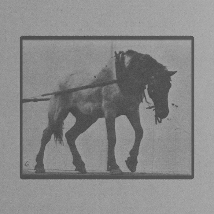 Hansel Hauling a Heavy Weight | Muybridge