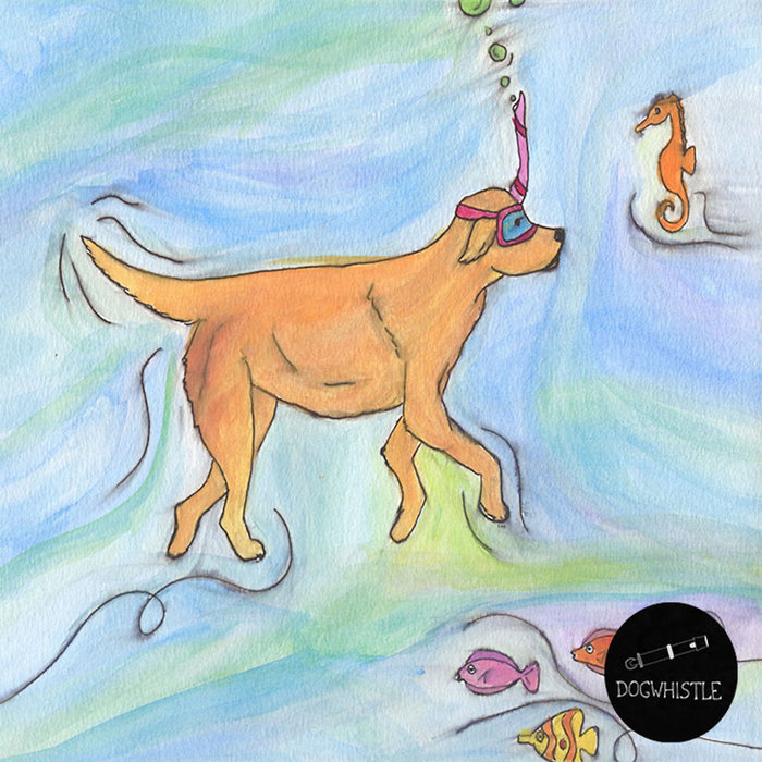 Air Budz | Nightshift