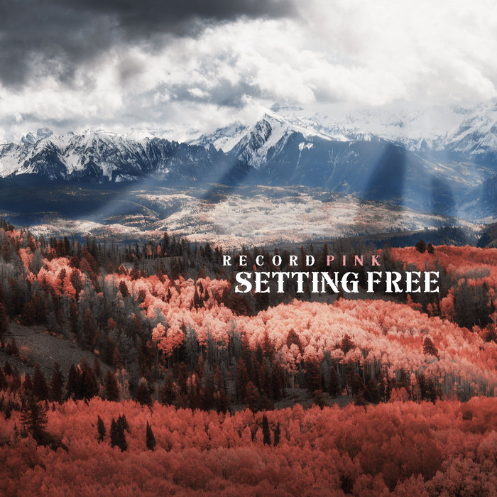 Setting Free | Record Pink