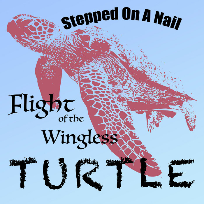 Flight of the Wingless Turtle | Stepped On A Nail