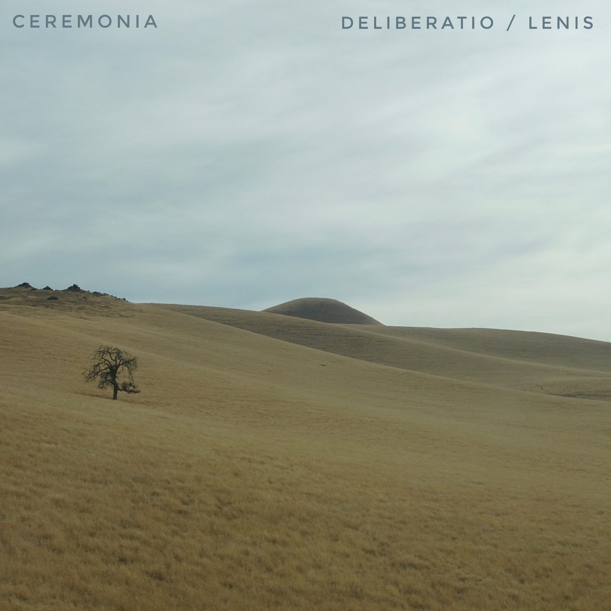 Deliberatio / Lenis | Ceremonia