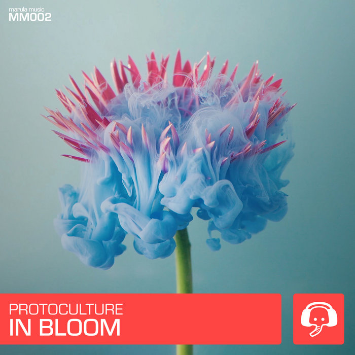 In Bloom | Protoculture