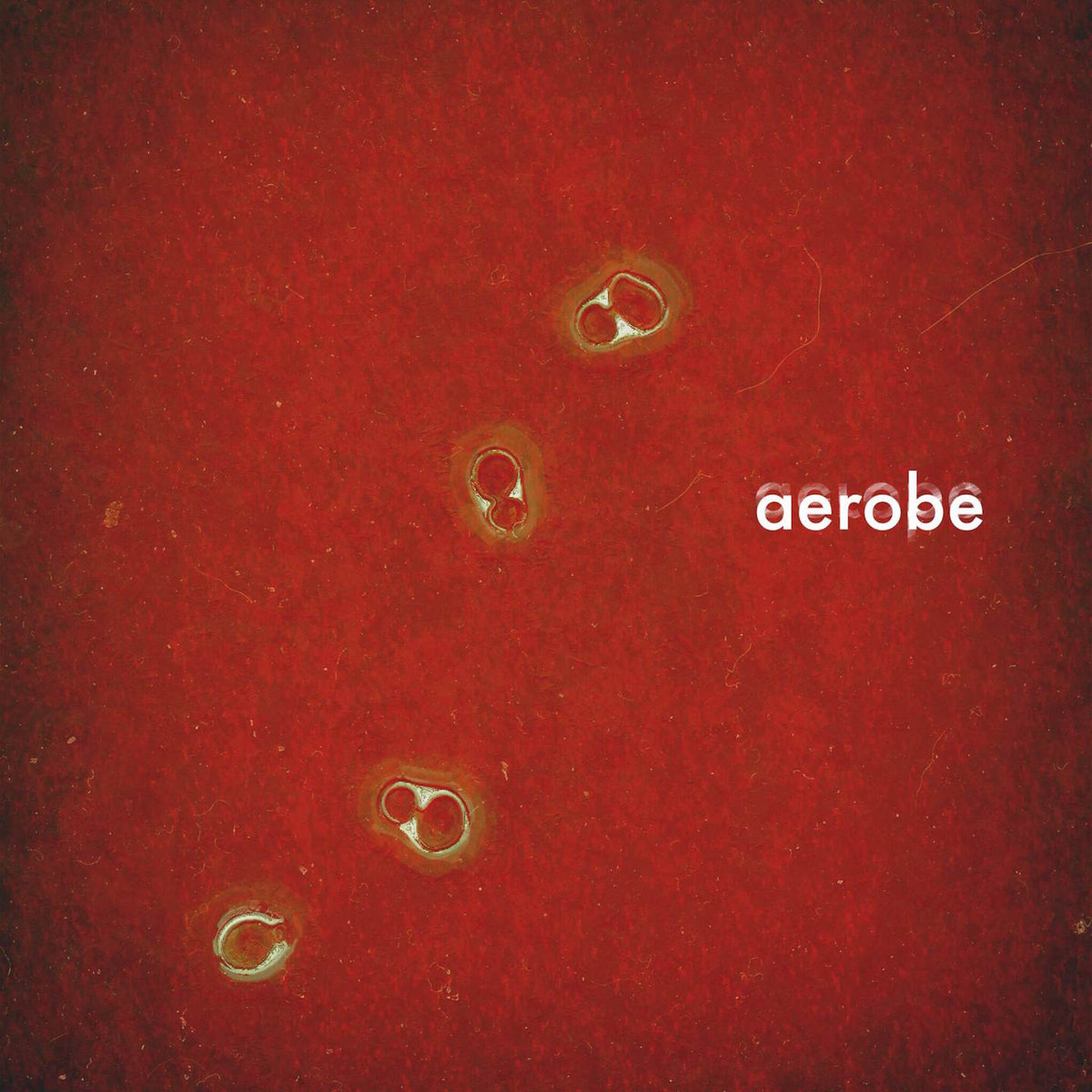 Aerobe | Aerobe | Off - record label