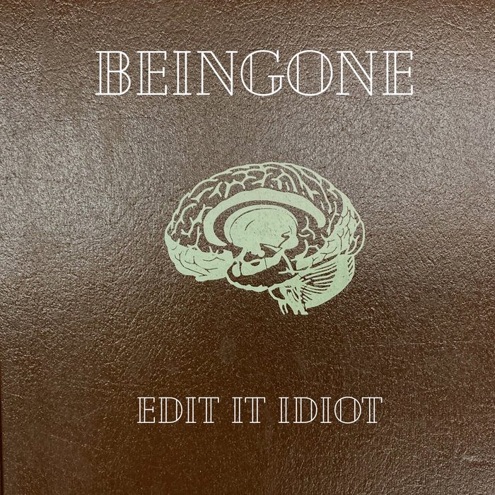Edit It Idiot | beingone