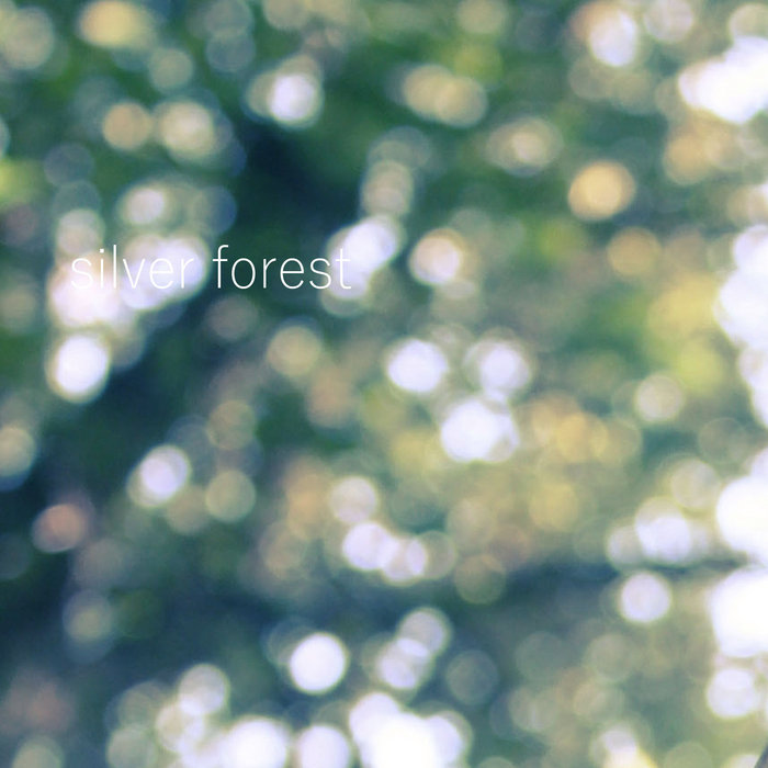 Silver Forest | Silver Forest