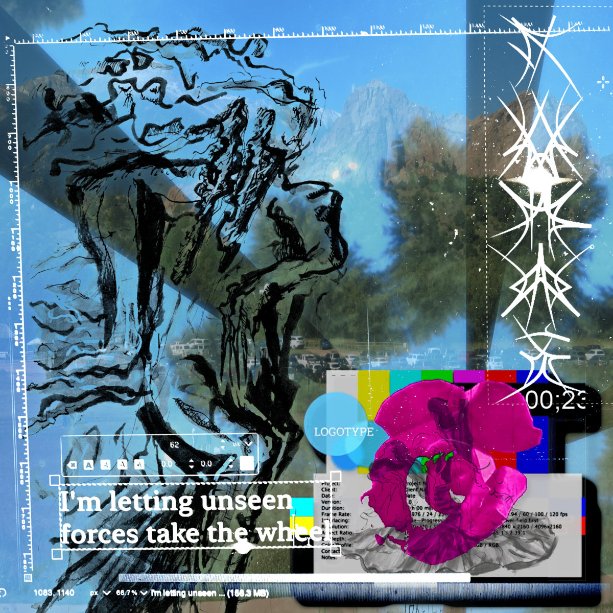 Phantom Lily | I'm letting unseen forces take the wheel