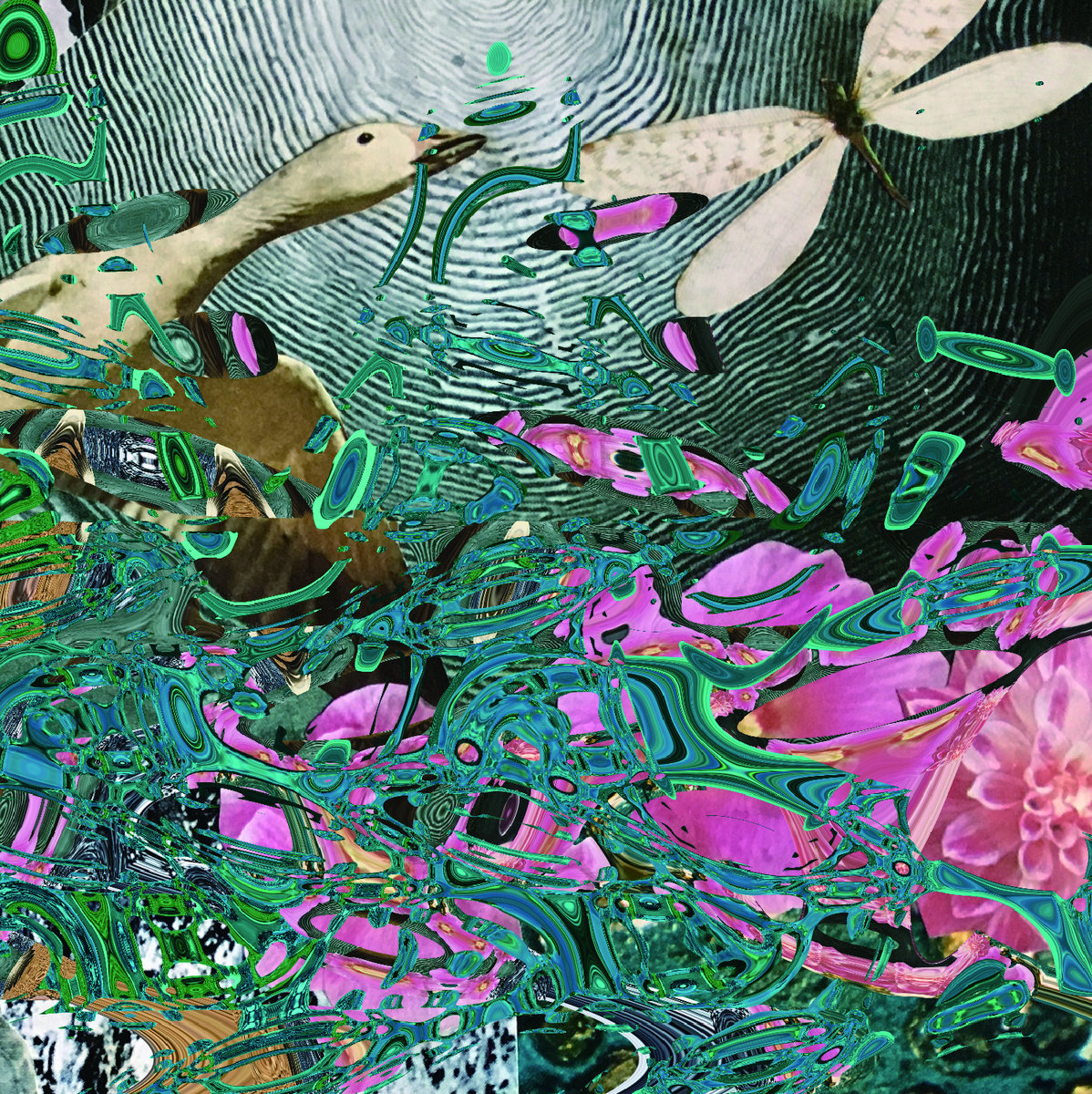 White Bird | Merzbow