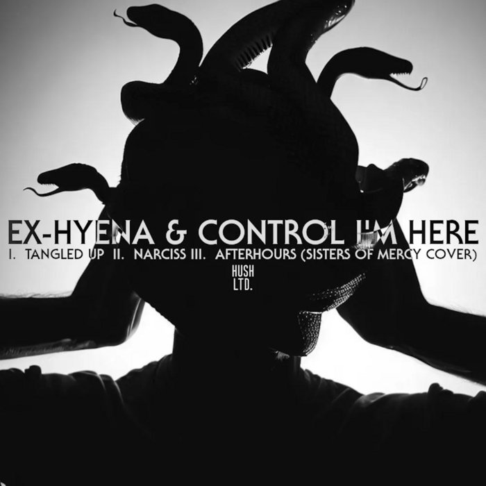 Tangled Up/Narciss/Afterhours | Ex-Hyena & Control I’m Here | Ex-Hyena
