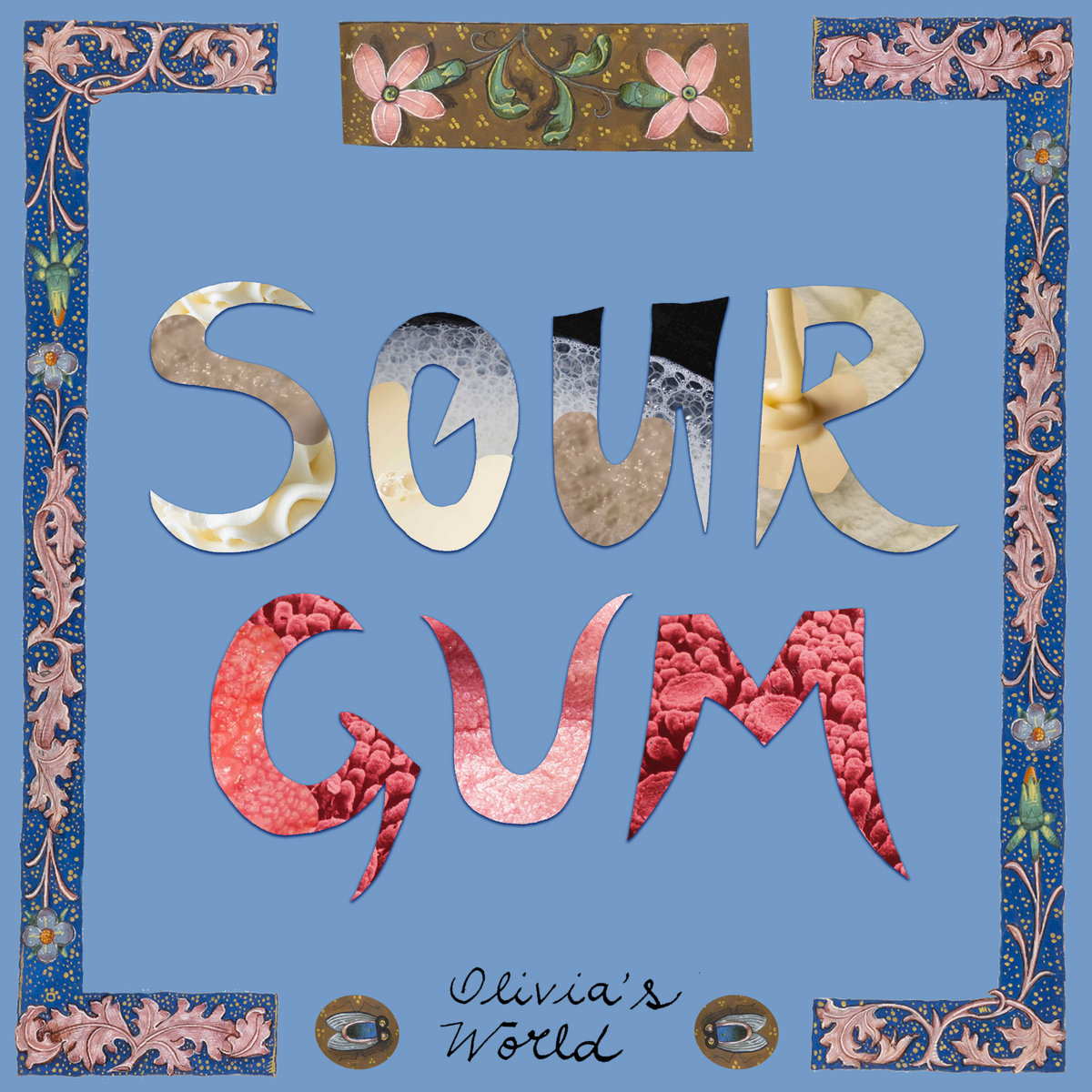 Sourgum | Olivia's World
