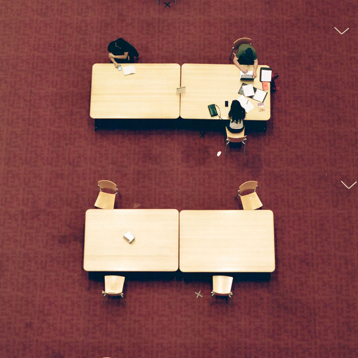 Cancel Everything | DIVVES