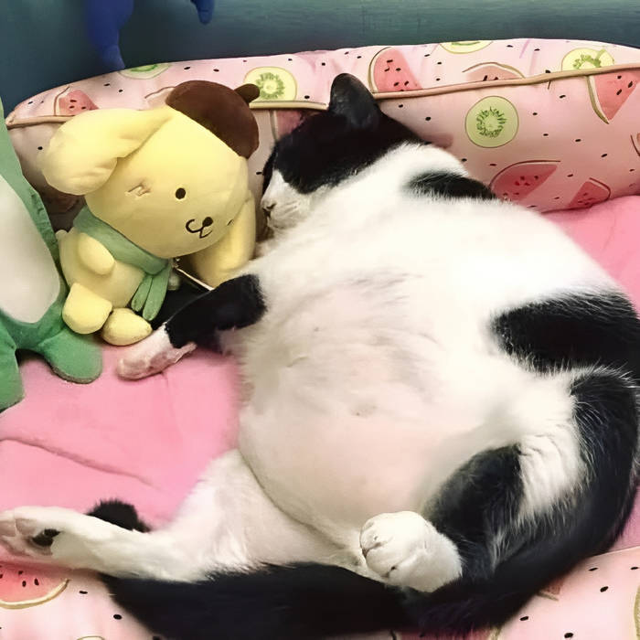 PINKPANTHERESS - TURN IT UP (VERSIONS) | Fromtheblueplanettt