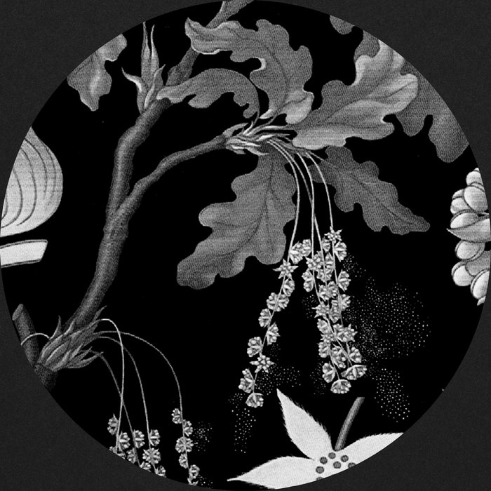 CNR041 | Carl Neuberg