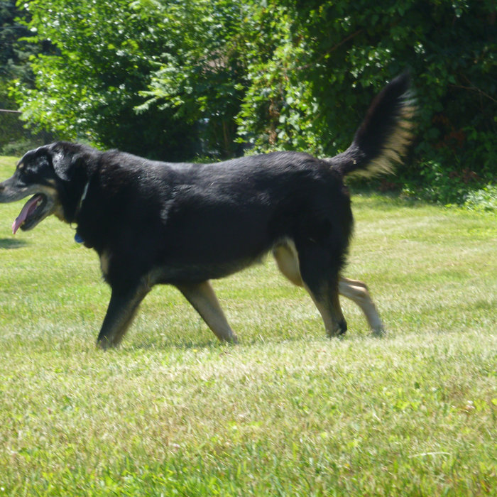 3/10/24 | RICK and the SUBSONICS