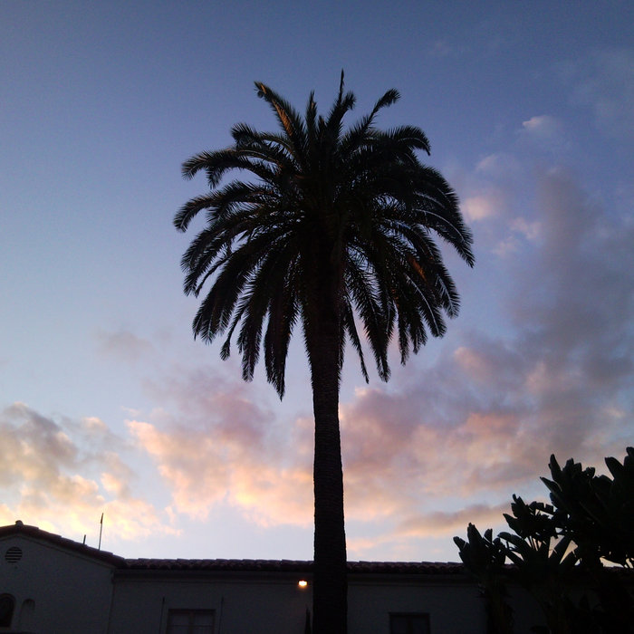 Refined By Fire | Brian Woodruff