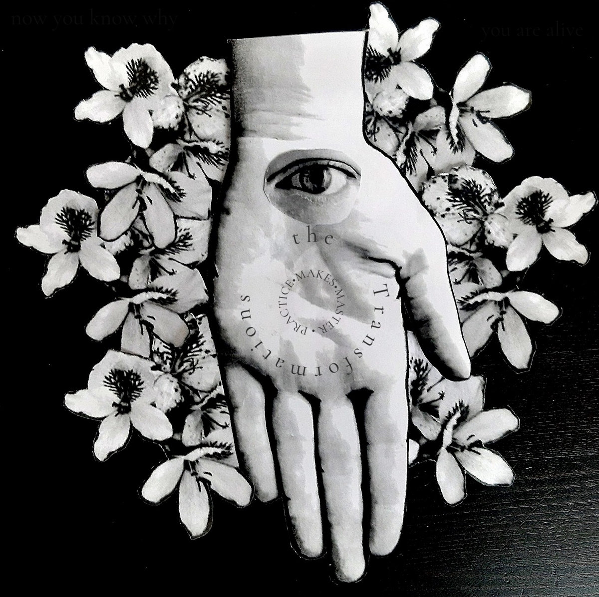 Practice Makes Master | The Transformations