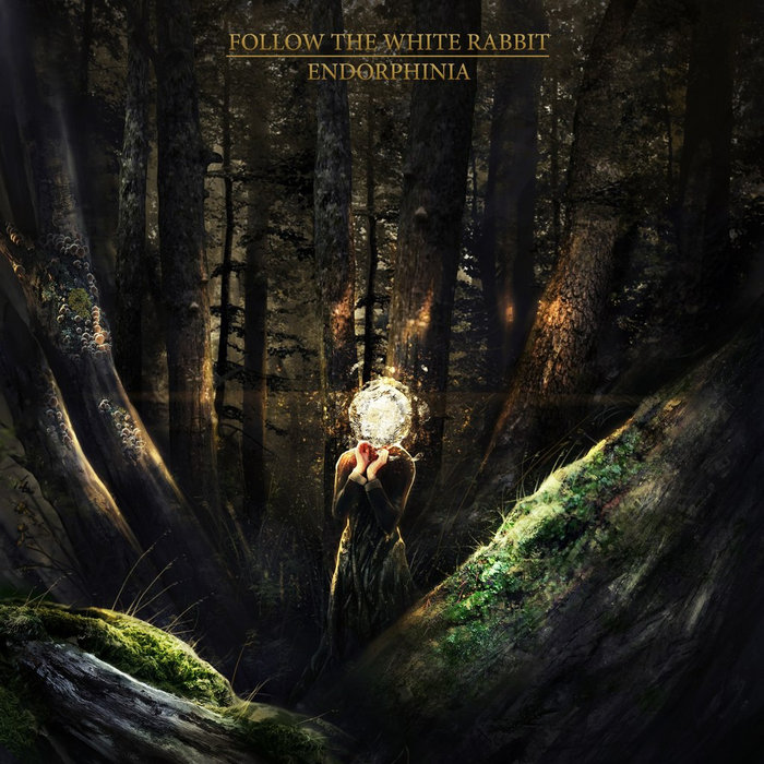 Zzz(Zzz) | Follow The White Rabbit