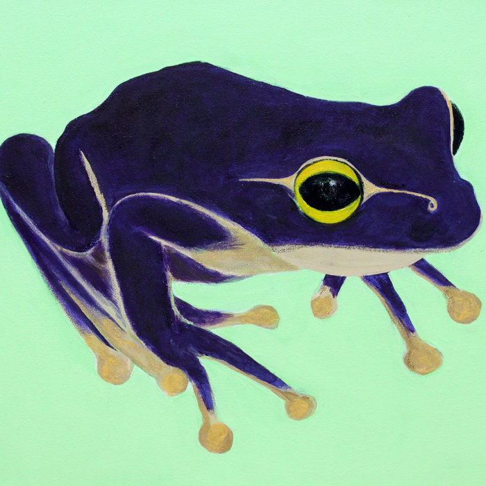 Frog way back | Frog of fog