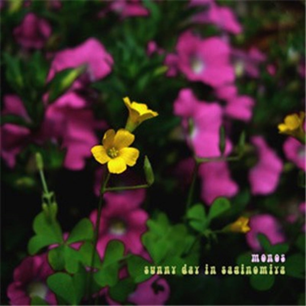 Sunny Day In Saginomiya | Monos