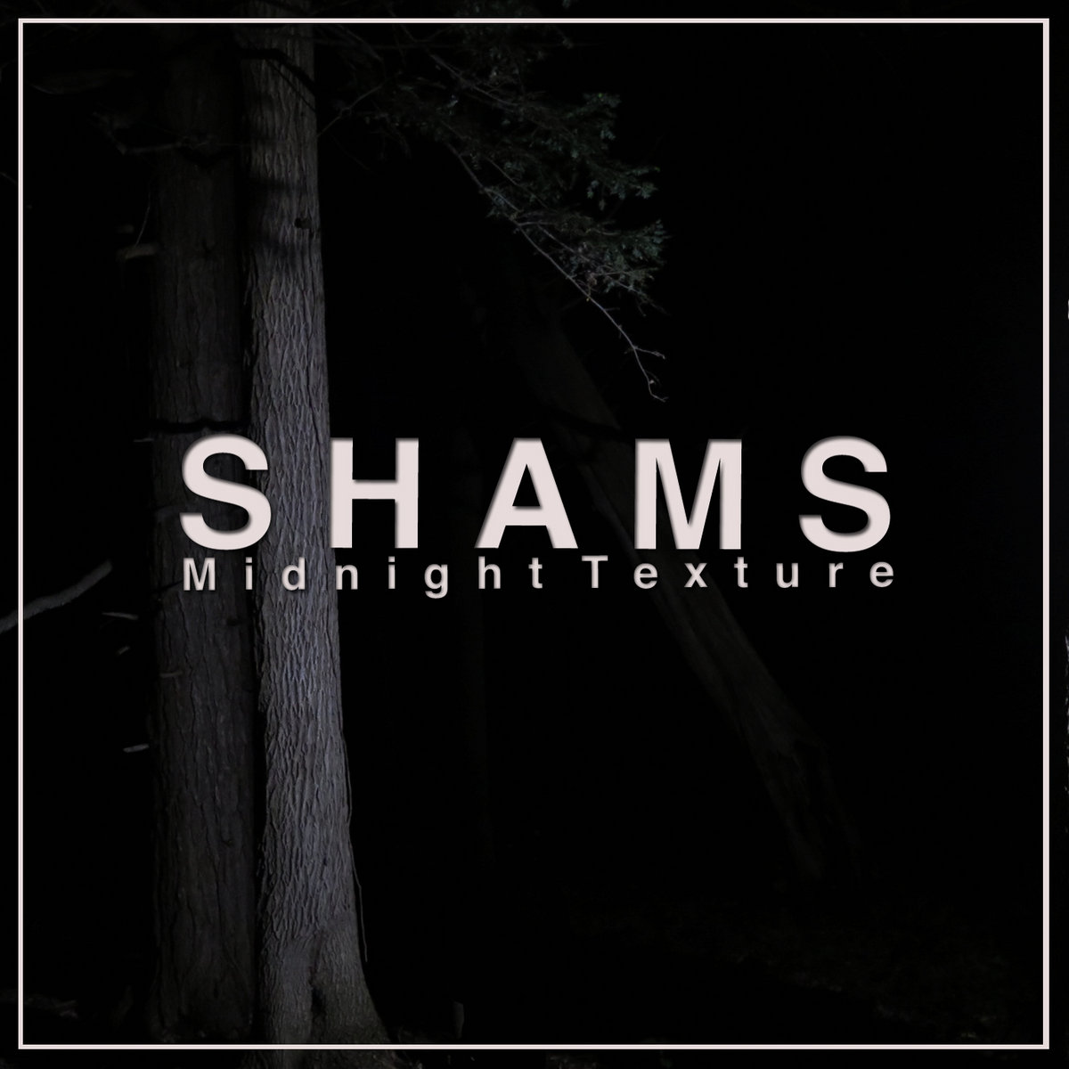 Midnight Texture | SHAMS