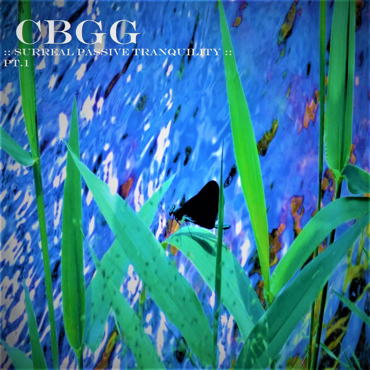 CBGG 's :: ambient Sp@ce Bar :: Surreal Passive Tranquility | CBGG ...