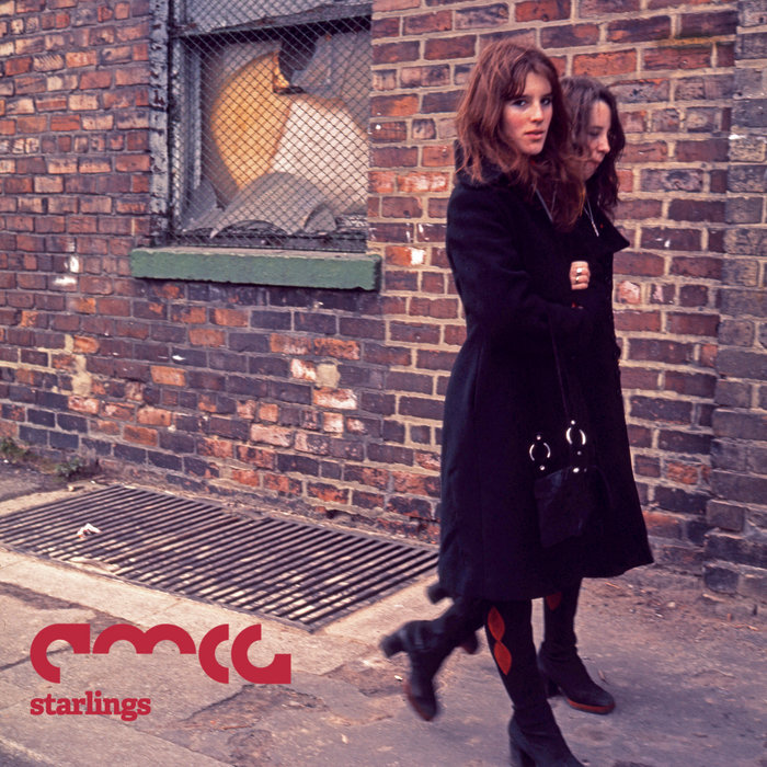 Starlings | A Man Called Adam