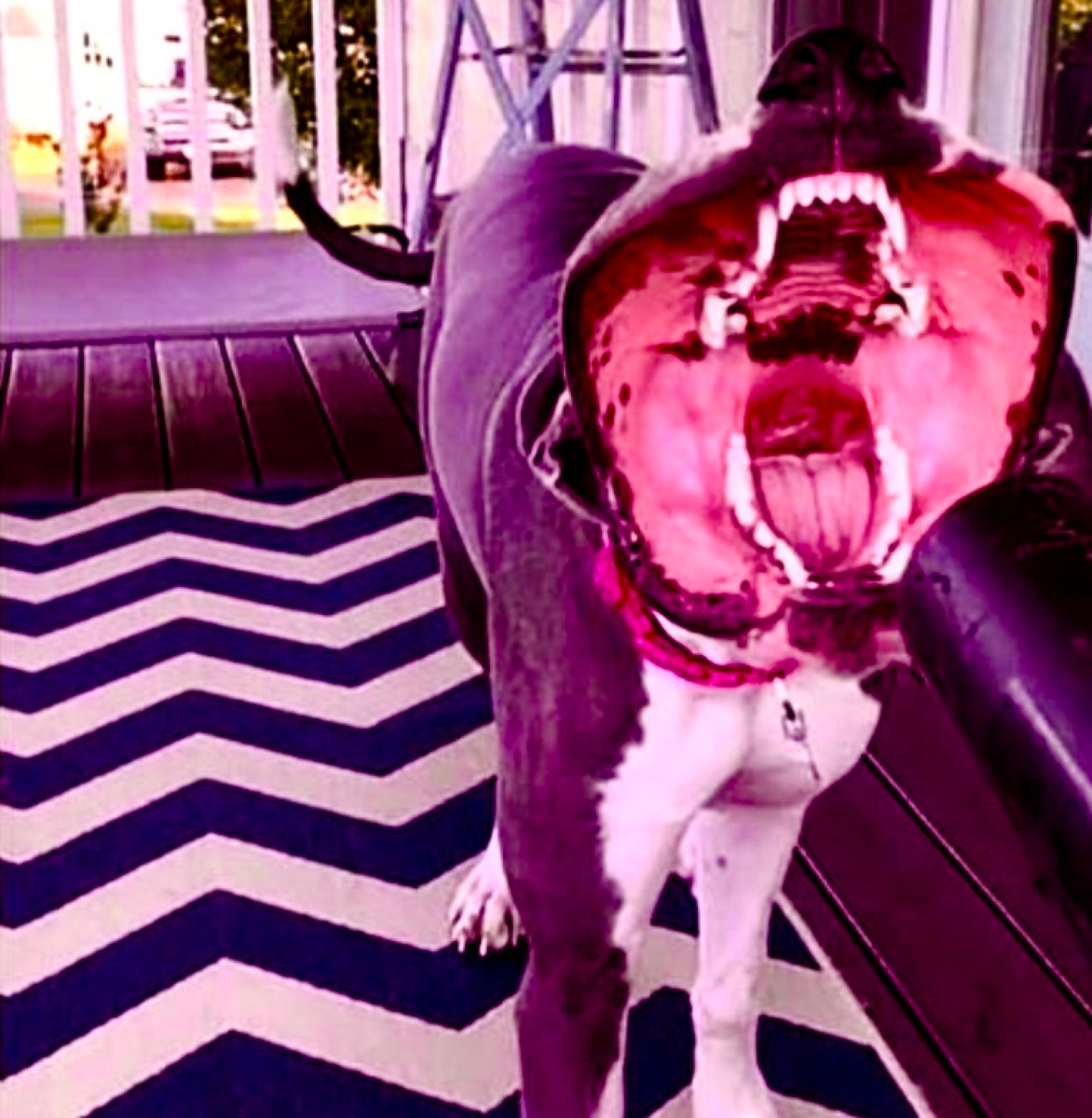 I Hate Mouths | matt addis