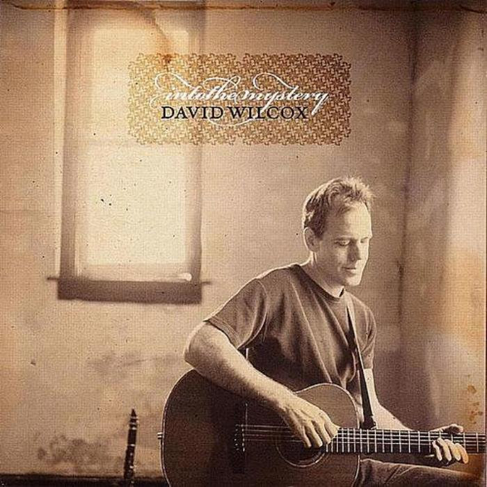 Into the Mystery | David Wilcox