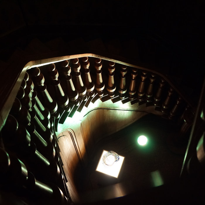 Bang! You're dead (VoX LoW Rmx) | Wild Women