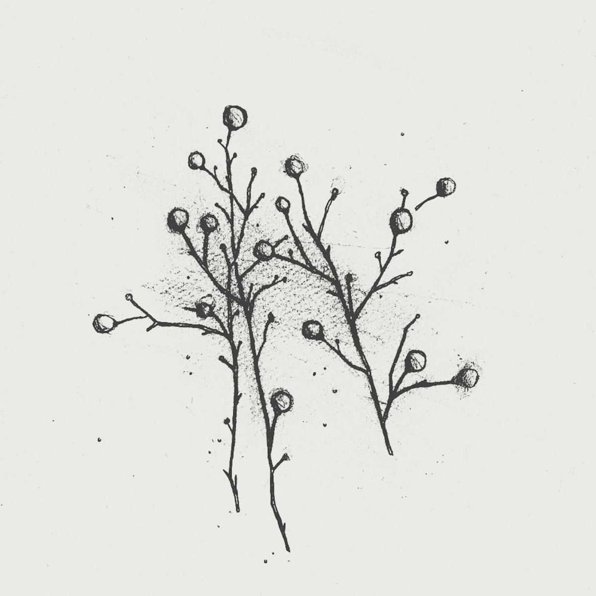 No Greener Grass | Scott Tuma