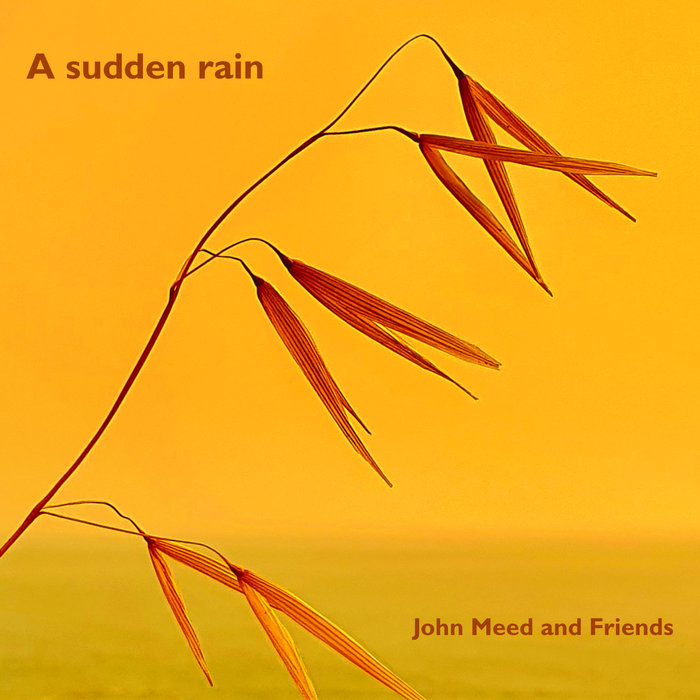 A sudden rain | John Meed