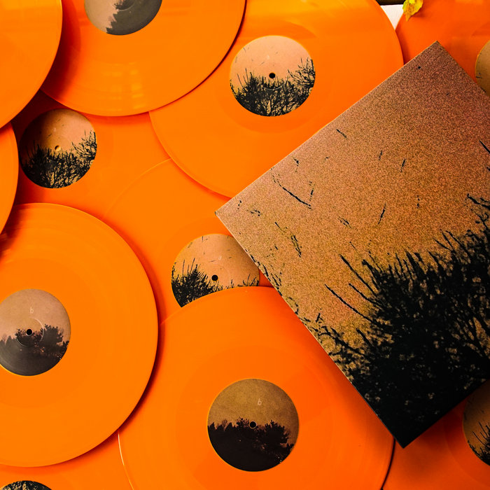 demo three | LIFE | Zegema Beach Records