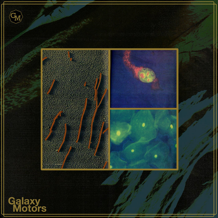 Galaxy Motors | General Labor