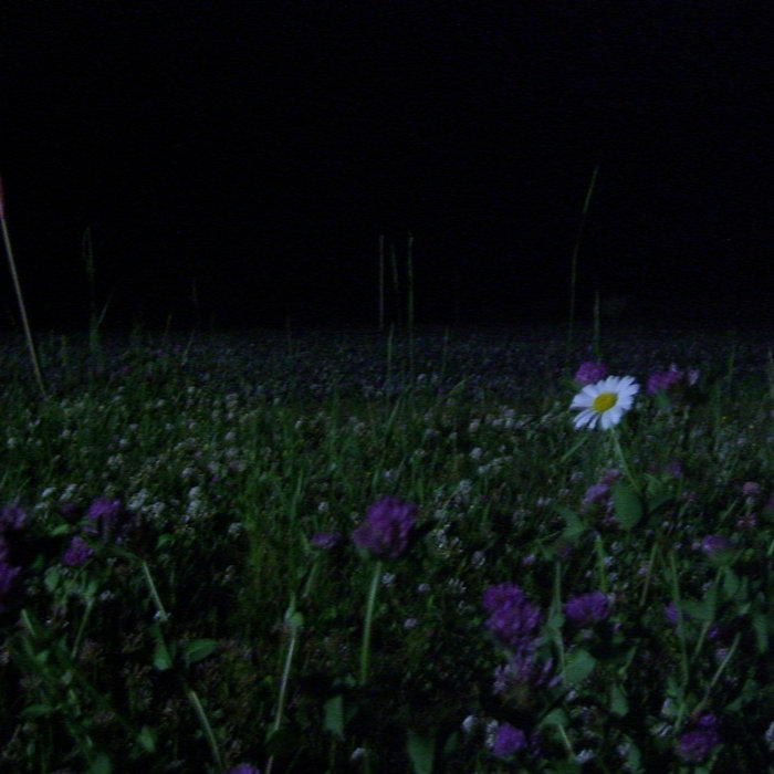 The call | the archiver