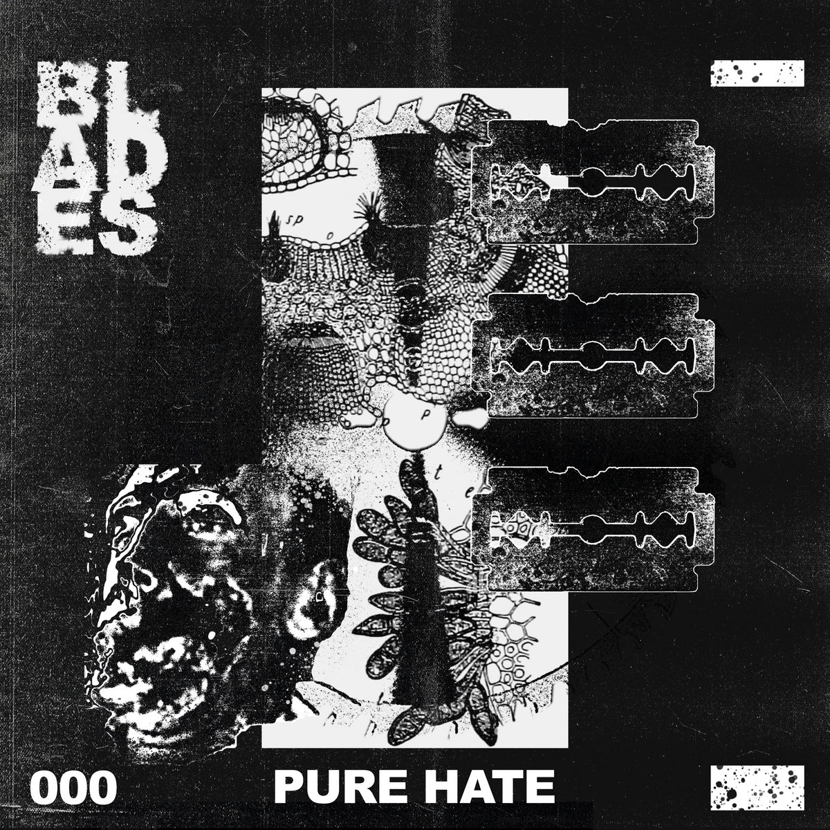 PURE HATE - BLADES VA | PURE HATE