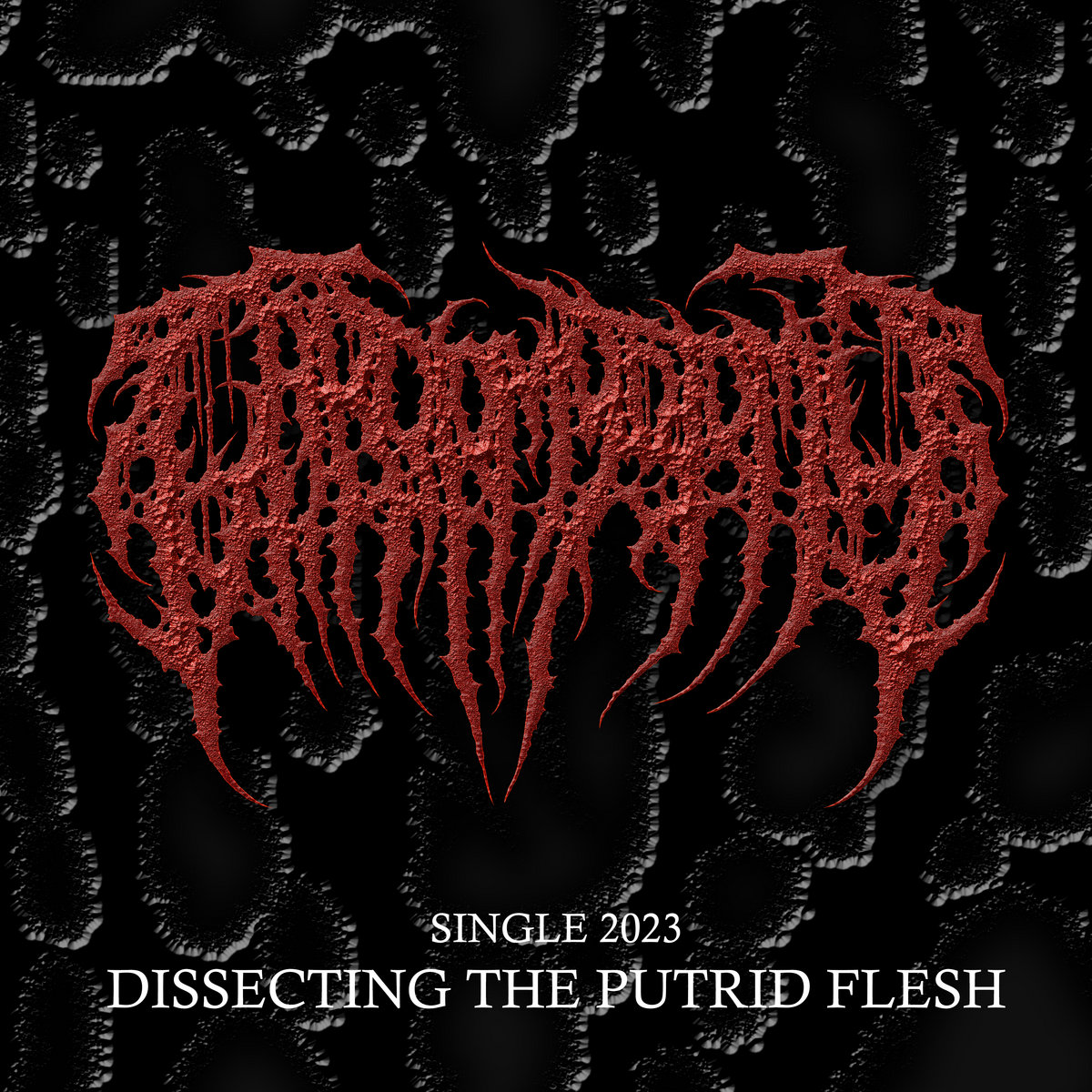 Dissecting the Putrid Flesh | Cardiomyotomy