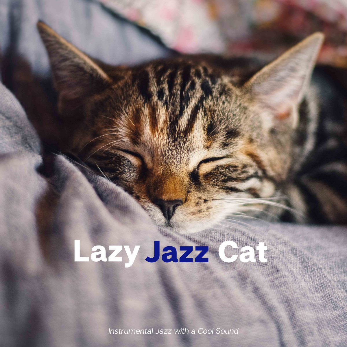 Instrumental Jazz with a Cool Sound | Lazy Jazz Cat