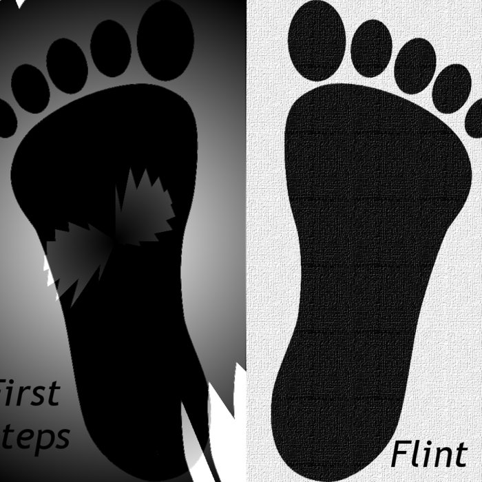 First steps | Flint