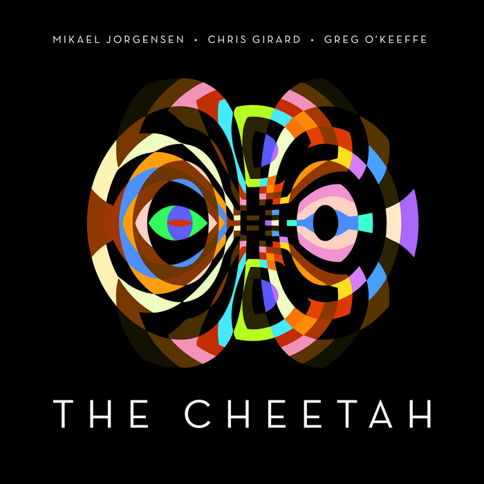 The Cheetah (2003) | Mikael Jorgensen