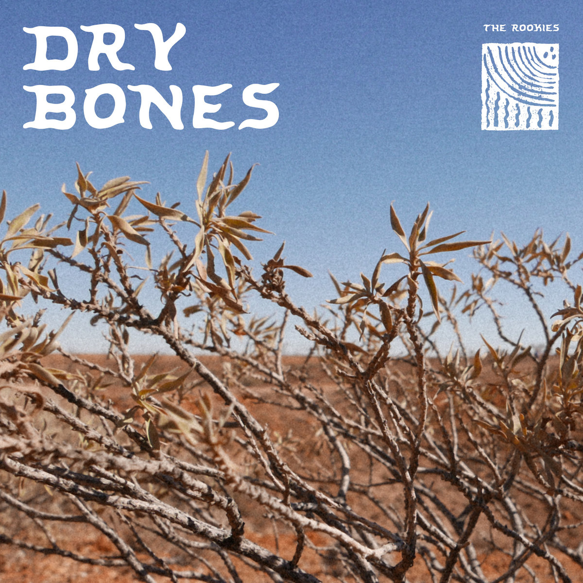 Dry Bones | The Rookies