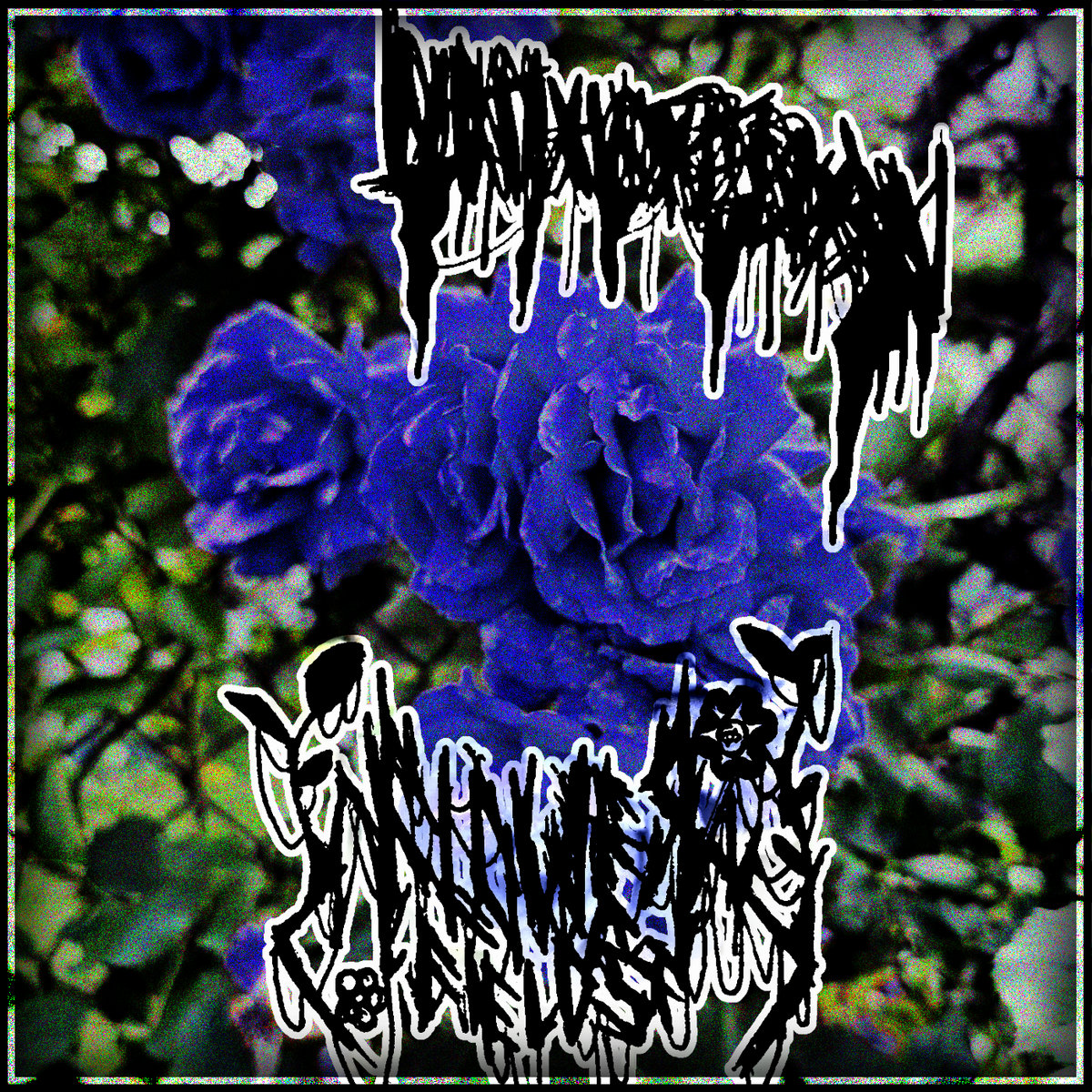 Split With Flower Fields | xLITHOPEDIONx