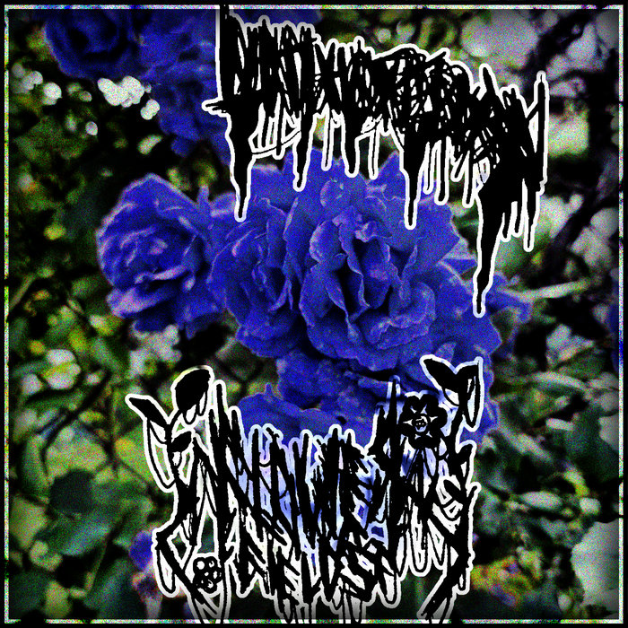 Split With Flower Fields | xLITHOPEDIONx