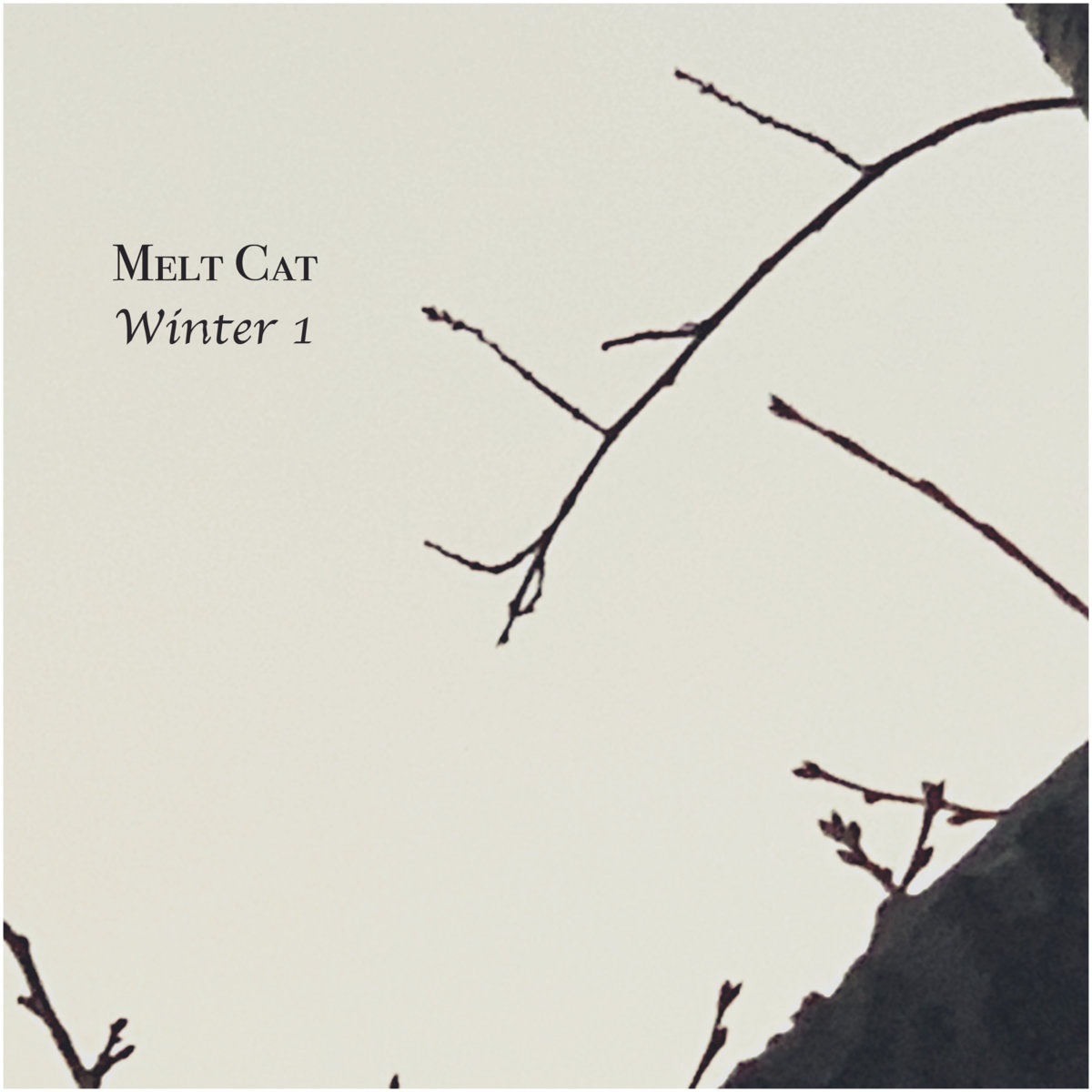 Winter 1 | Melt Cat