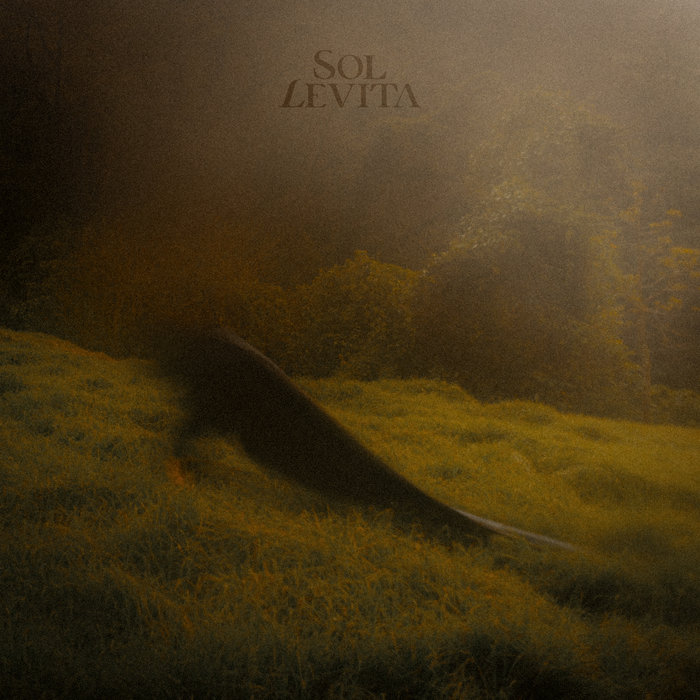 Prevalece | Sol Levita | Contradicta