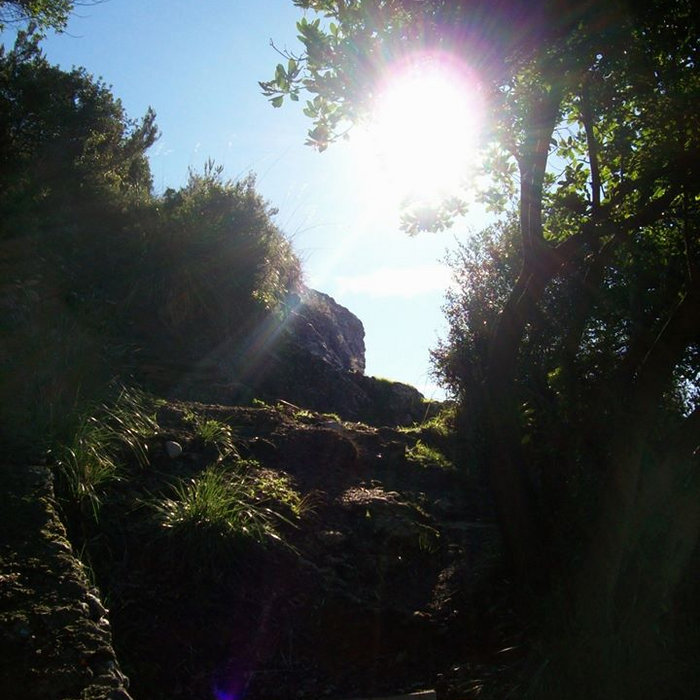 Guardian Angel | Lady Miriam