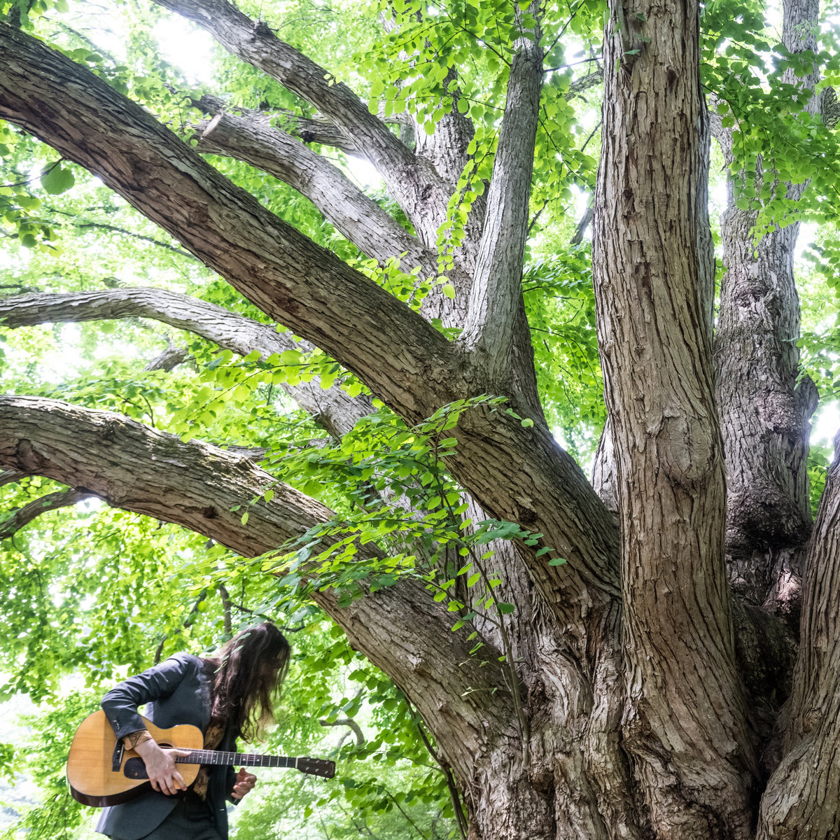 Impossible Dreamer | Dave Cope and the Sass | Dave Cope