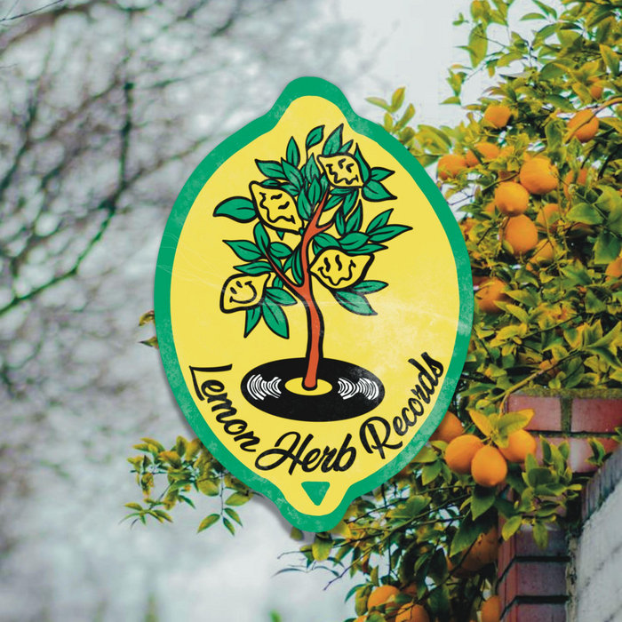 Techu - Dimensionality [LHR008] | Lemon Herb Records