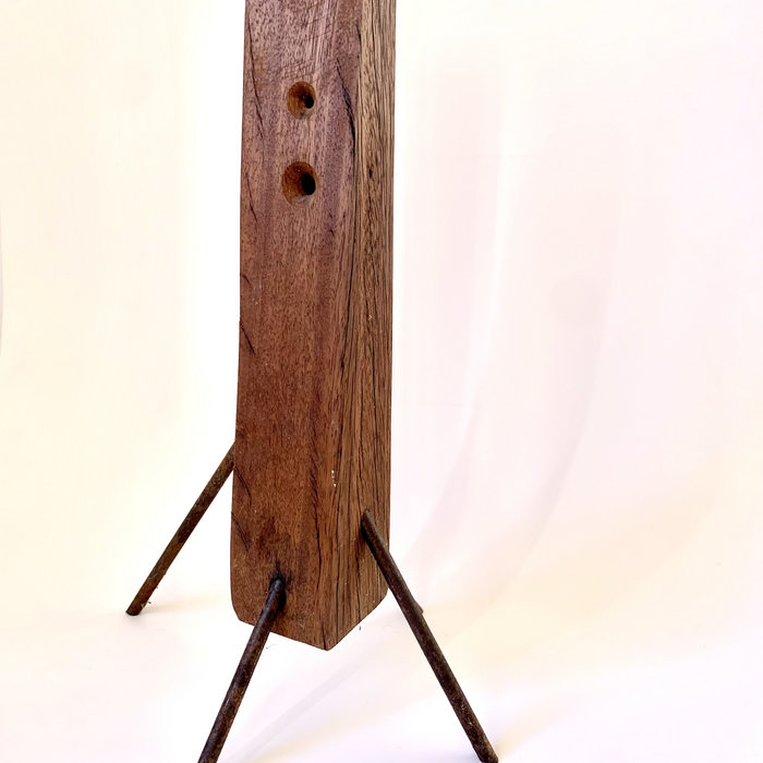 Birds | Tim Cunningham