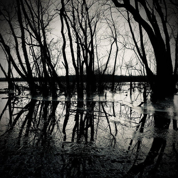 In Some Life | Chris Lippincott