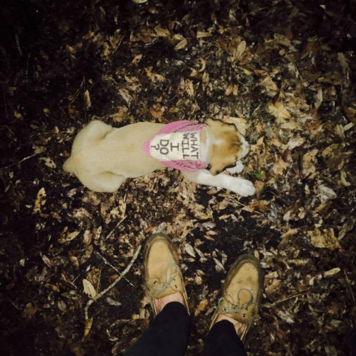 What Will I Do | Lance Corbett