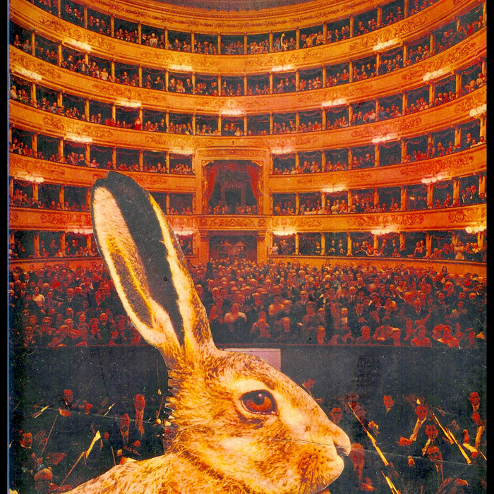 Saul Rosenberg's Glasses | Andy Kravitz